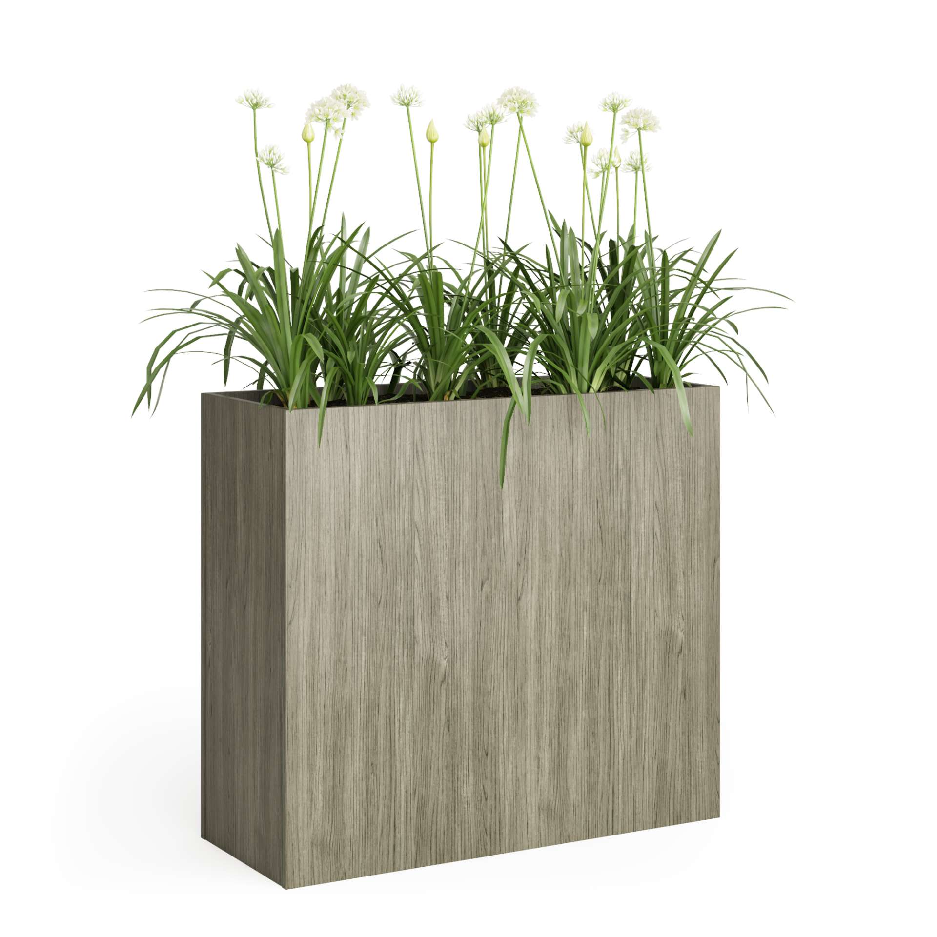 Planter Box by Archer Medical | New Zealand